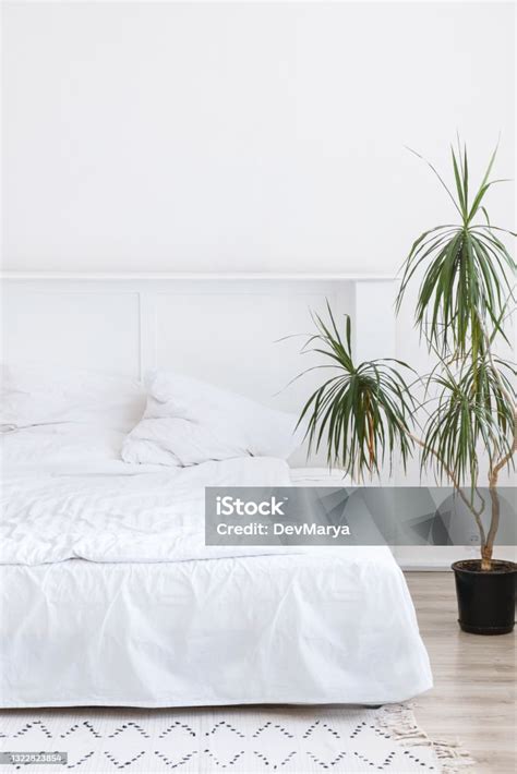 흰색 침대와 큰 녹색 실내 꽃 침실 인테리어 수면 침대에 대한 준비가 흰색 깨끗한 침실 0명에 대한 스톡 사진 및 기타 이미지