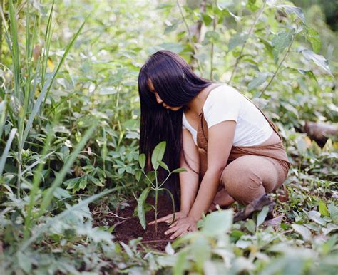 Dreams Of Territory 💭 By Gaia Solaris Eco Nnect