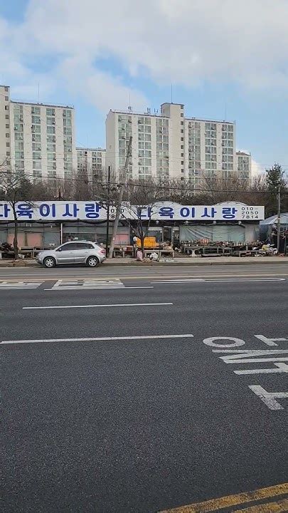 인천대공원역 Suculentas 다육 다육사랑 다육이 Plants Plant 다육이사랑 Youtube