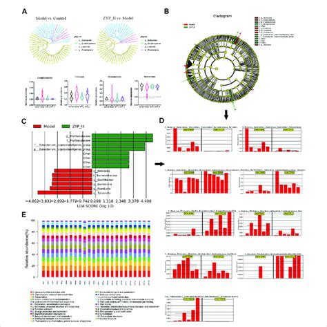 Multivariate Statistical Analysis Of Microbial Data A Phylogenetic