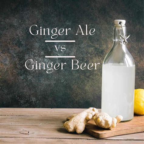 Ginger Ale Vs Ginger Beer A Quick Overview James Street Home