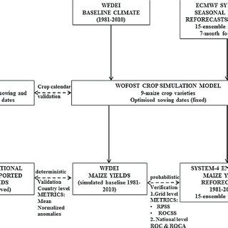 Study Setup And Validation Methodology Download Scientific Diagram