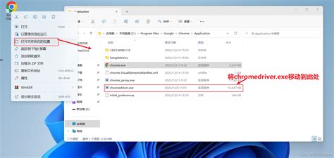 selenium 安装 webdriver （chromedriver版） webdriver chrome driver csdn博客