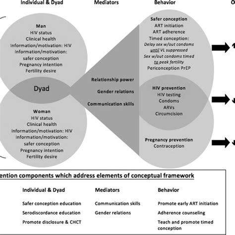 Safer Conception Conceptual Framework 1 And Key Elements Addressed By