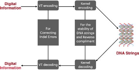 Figure From DNA Digital Data Storage And Retrieval Using Algebraic Codes Semantic Scholar