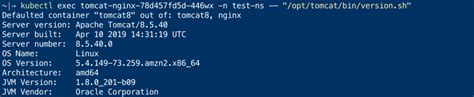 Kubectl Exec Examples Execute Shell Commands Into A POD K8s