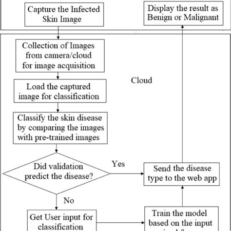 Cnn Architecture Used For Melanoma Cancer Diagnosis Download Scientific Diagram