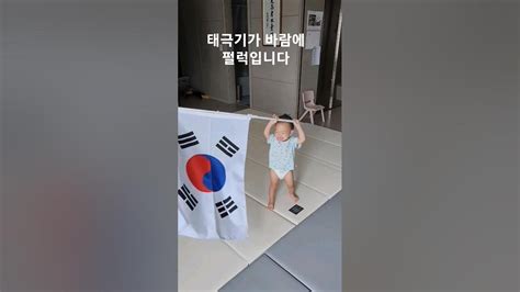 광복절에는 태극기 육아기록 육아브이로그 육아일기 아들 18개월아기 광복절 Youtube
