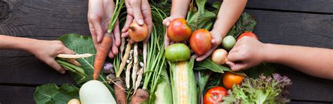 Nutrient Bioavailability In The Human Body Wholisticmatters