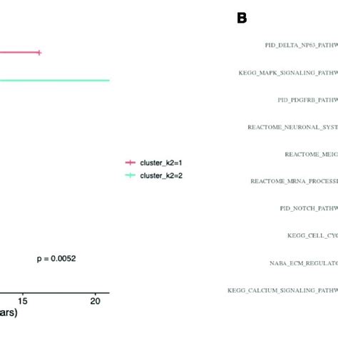 Examples Of Array Comparative Genomic Hybridization And Snp Array
