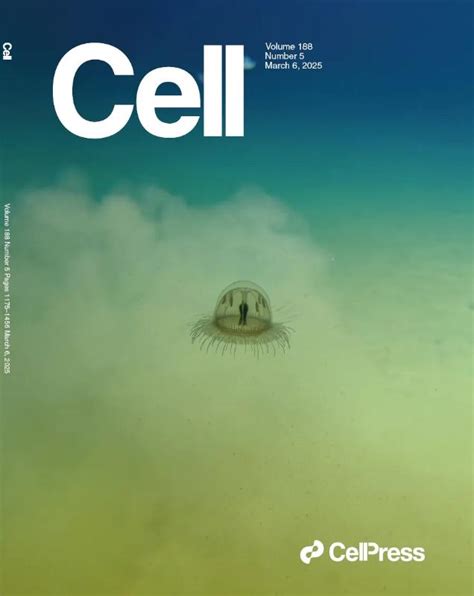 4篇cell发刊、多项全球突破：上海交大科研团队领衔“绘制”全球首个海洋最深生态系统图 交大智慧 上海交通大学新闻学术网