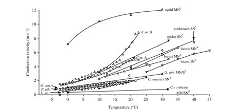 The Effect Of Temperature On The Conduction Velocity Of Identified Download Scientific Diagram
