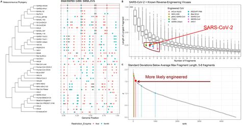 Louis R Nemzer On Twitter How Likely Is The Even Spacing Of The