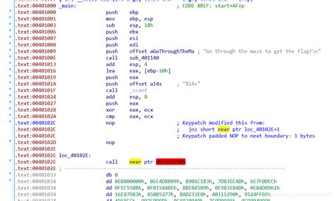Re学习笔记（34）buuctf Re Hdctf2019 Maze 花指令去除ctf Re 花指令清除 Csdn博客