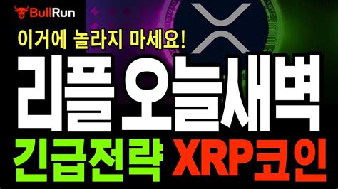 리플 코인 전망 실시간 🚀 미래 2주를 결정짓는 오늘 새벽🚀 리플 Xrp 실시간 시세 🚀 놓치지 마세요 리플코인 Youtube