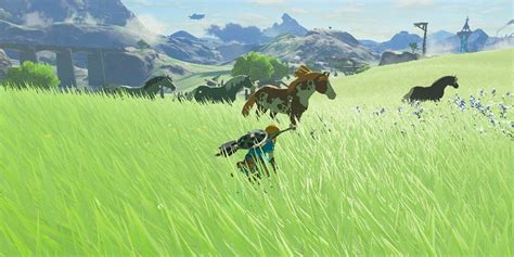 A Zelda Botw Secret Can Actually Get Link An Extra Horse