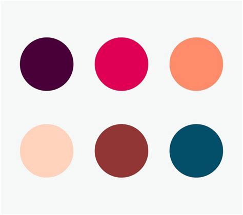 Premium Vector Vector Illustration Of Color Pallate