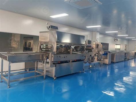 From Cocoa Bean To Chocolate Key Stages And Steps In Processing Cocoa Beans Gondor Machinery