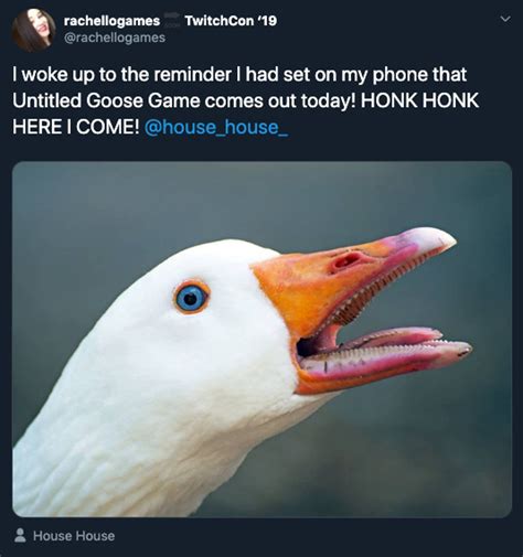 22 More Untitled Goose Game Memes That Are A Honking Good Time Ebaum