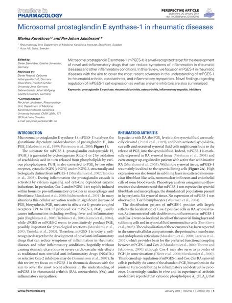 Pdf Microsomal Prostaglandin E Synthase 1 In Rheumatic Diseases