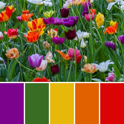 Hex Color Palette Spring Color Palette Color Schemes Colour Palettes