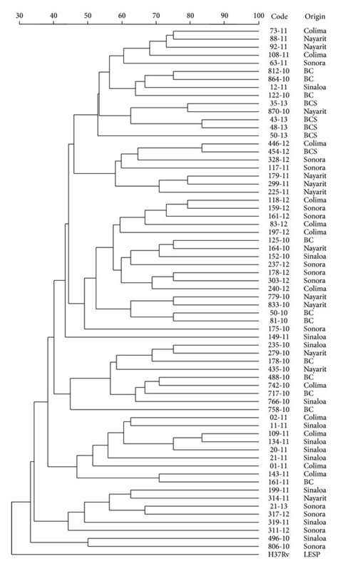 Dendrogram Generated By Using Categorical Character And The Upgma