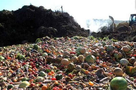 طرحی برای مهربانی با آب و خاک؛ از شکل‌گیری تاکنون ایسنا