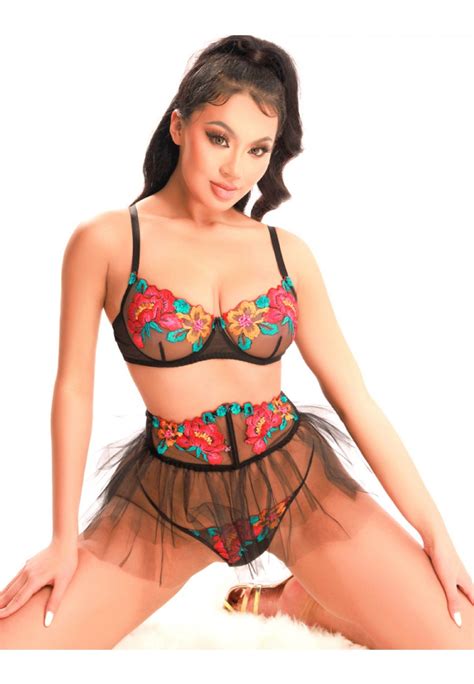 Conjunto Piezas Lencer A Sexy De Tull Bordado Colorido Con Volados