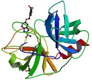 Complement Protein Structure Sino Biological