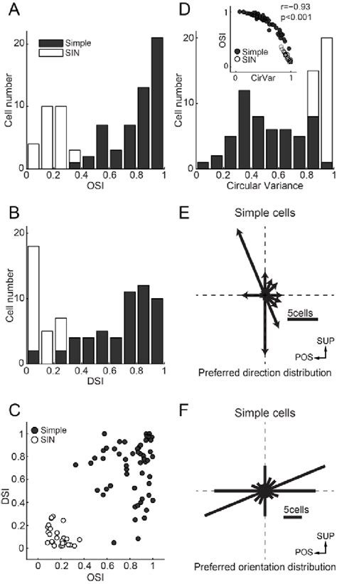 6 Orientation And Direction Tuning Properties Of Simple Cells And