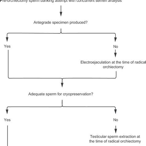 Microdissection Testicular Sperm Extraction Download Scientific Diagram
