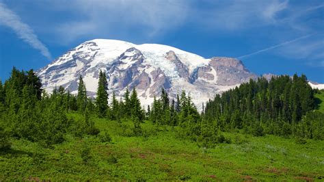파라다이스 여행의 모든 것 유명 관광지부터 숨겨진 보석같은 여행지를 찾아 나만의 여행을 떠나자 특가 호텔과 리뷰는 기본 익스피디아