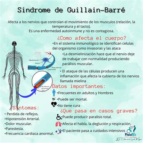 Fisio El Sx De Guillain Barré Es Un Trastorno Poco Común En El Cual