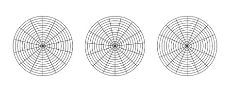 생명의 수레바퀴 템플릿 시각화를 위한 코칭 도구 라이프 스타일 균형의 서클 다이어그램 세그먼트와 동심원이 있는 극좌표 그리드