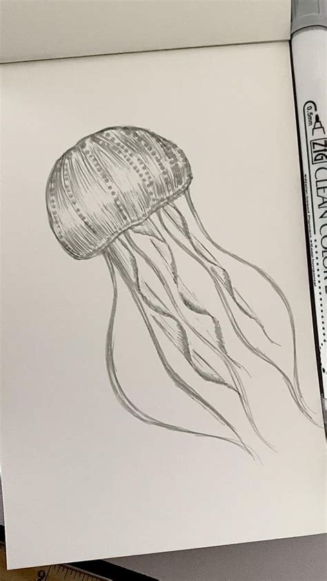 Jellyfish Marker Sketch Video Drawings Drawing Challenge Sketchbook Drawing