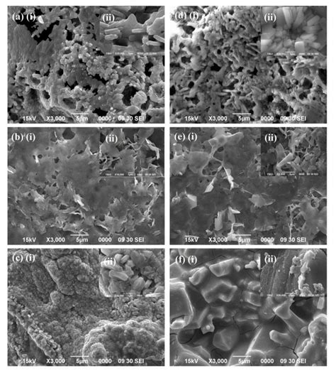 Sem Micrographs Of Ha Coating Deposited On The Surface Of 316 L Download Scientific Diagram