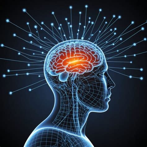 Unlocking The Brains Secrets From Physics To Neural Networks