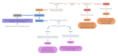 Variables Coggle Diagram
