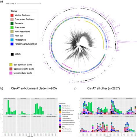 Phylogeny And Taxonomic Distribution Of Ks Domains From The Download Scientific Diagram