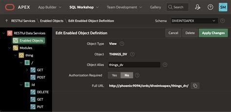 Simplify Apex App Rest Apis With Json Duality Views Dive Into Apex