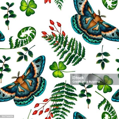푸른 녹색 나방 야생 숲 버섯 포르치니 고사리 붉은 열매 및 푸른 잔디가 있는 수채화 이음매 없는 패턴 자연 숲 야생 풍경 흰색 배경에 고립된 그림 자연에 대한 스톡 벡터