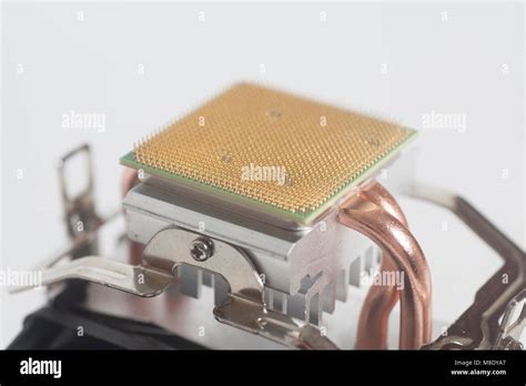 Central Processing Unit Cpu Microchip On Computer Fan Processor Cooler