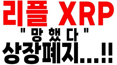 리플 엑스알피🚨100조 벌금 망했다🚨 상장폐지 속보 Youtube