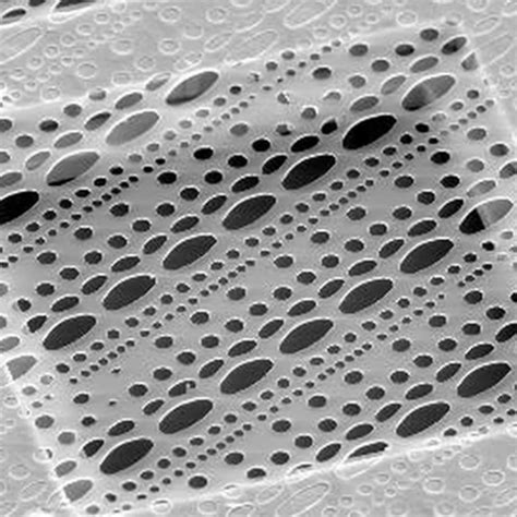 Quantifoil Products Octalab