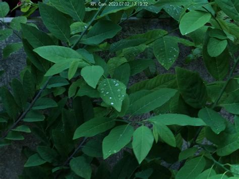Touch Cam A Raspberry Pi Camera