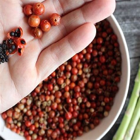 Спаржа как вырастить спаржу на грядке в огороде уход и размножение фото и видео