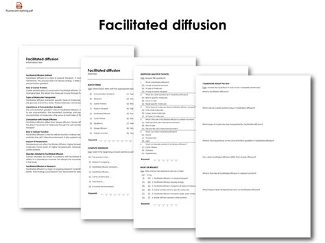 Facilitated Diffusion Made By Teachers