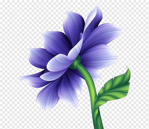 Стебель цветка Фиолетовый Фундальный Фиолетовый Растение Лепесток Стебель растения