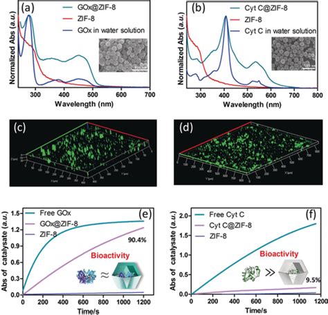 Modulating The Biofunctionality Of Metalorganic‐framework‐encapsulated Enzymes Through
