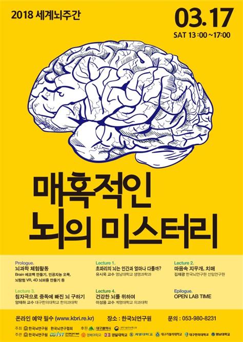 한국뇌연구원서 세계 뇌 주간 대구경북 행사 열려 파이낸셜뉴스